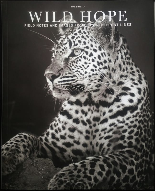 Wild Hope Vol 2 | Fall 2016 - Beth Moon