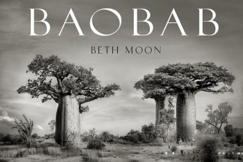 Books - Beth Moon